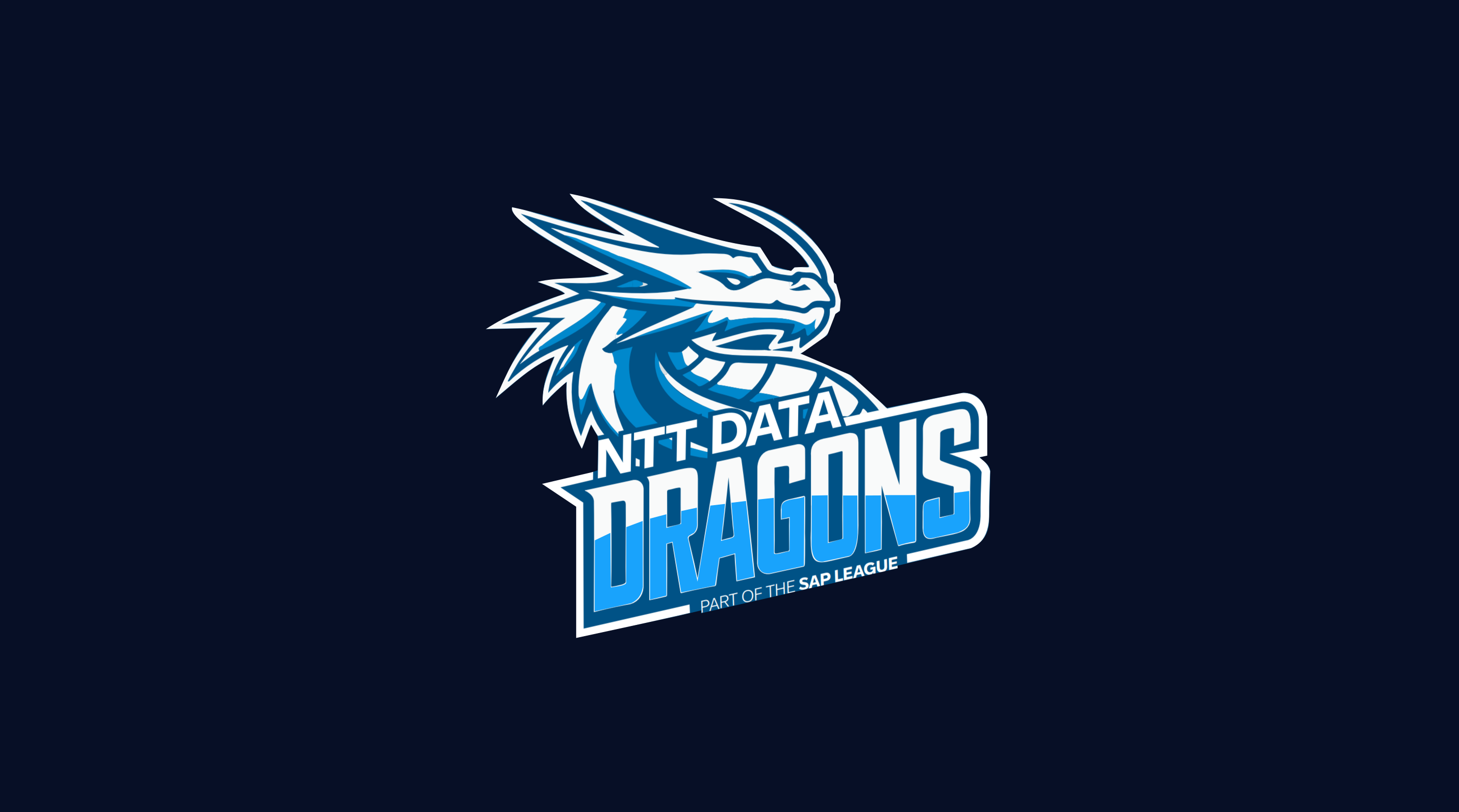 Maak impact met jouw talent bij de NTT DATA Dragons!